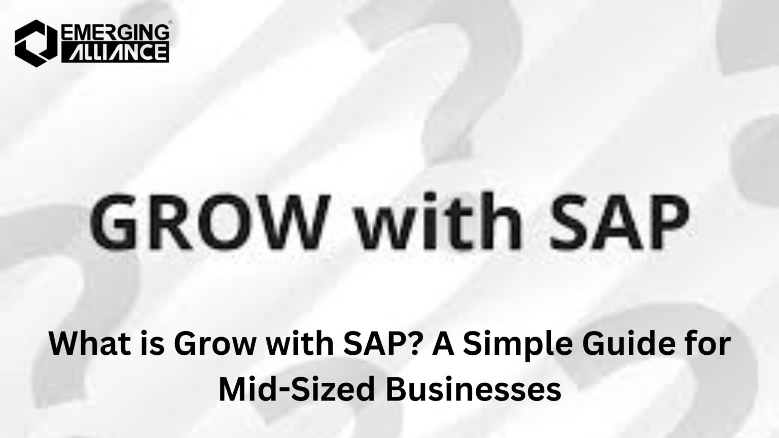 What is Grow with SAP? A Simple Guide for Mid-Sized Businesses ...