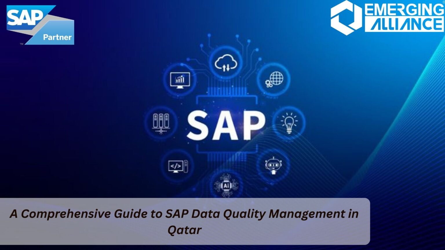 A Comprehensive Guide to SAP Data Quality Management in Qatar ...